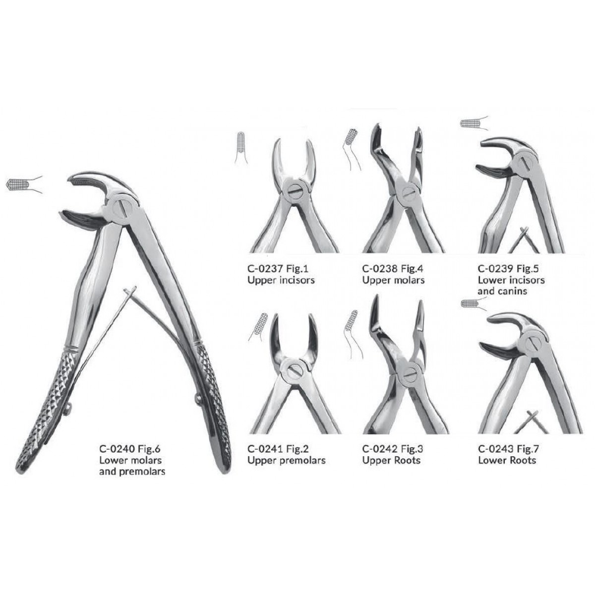 خرید ست فورسپس اطفال با کیفیت باورنکردنی - Pedodontic Tooth Forceps Set