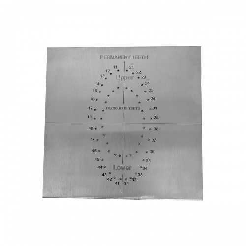 خرید الگوی رابردم با کمترین قیمت - Rubber Dam Template