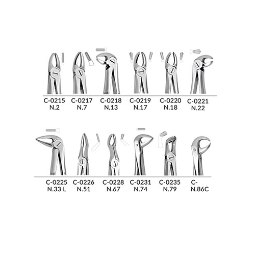 خرید ست فورسپس بزرگسال با قیمت استثنائی - Anatomic Tooth Forceps Set